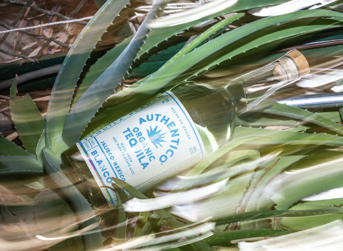 authentico – Freshie Tequila Seltzer
